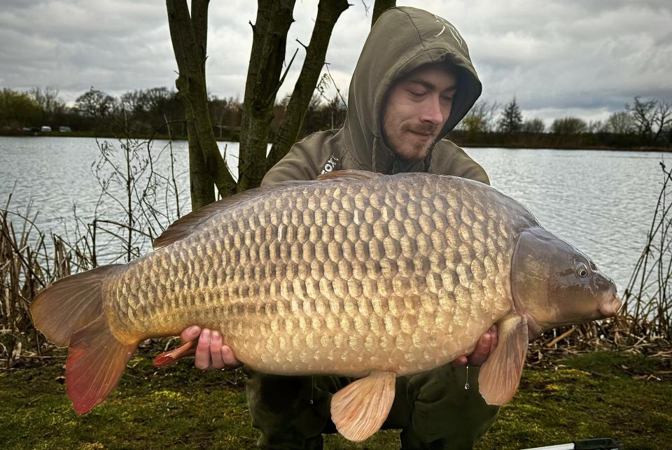 Pb common palmersangling | Total Carp